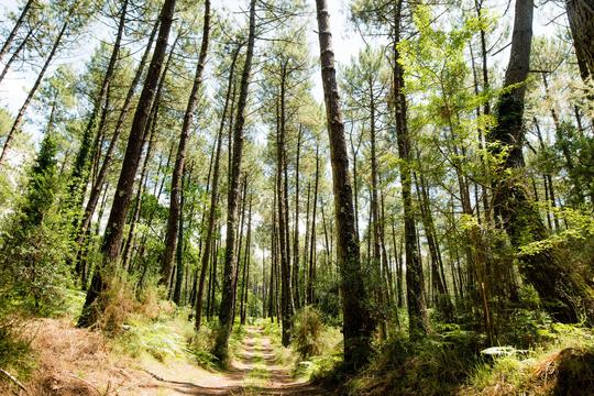 Vacances Les Landes: les meilleurs conseils de voyage et d'hébergement